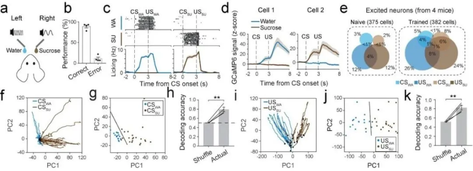 科学家揭示中央杏仁核在学习记忆中的新机制，为研究疾病模型奠定基础 - 知乎