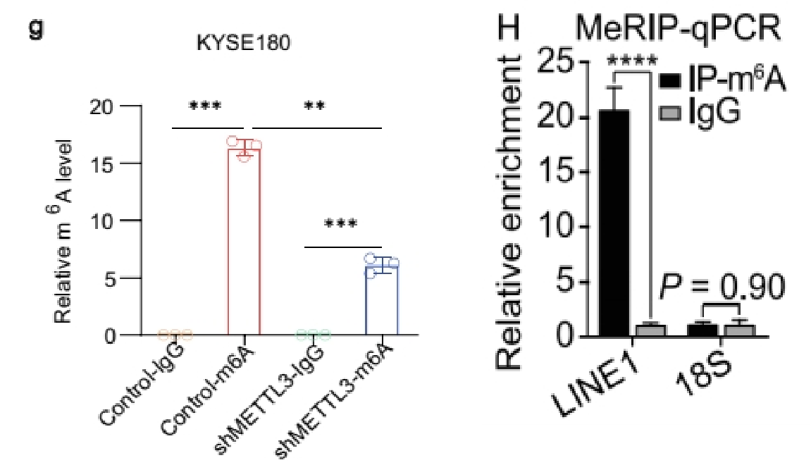 云序生物MeRIP-qPCR技术干货 - 知乎