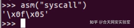 Ascii码 Shellcode的技巧 知乎 