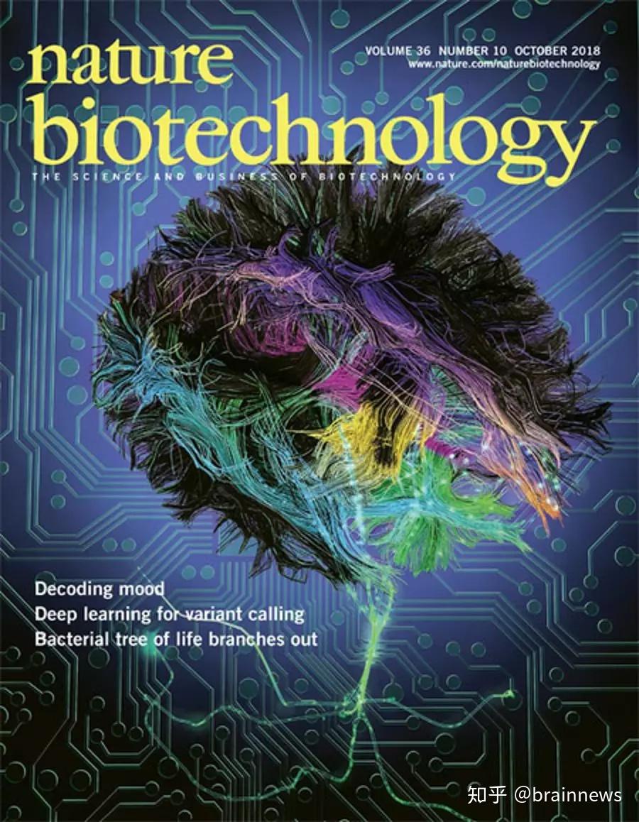 欣赏精彩的脑科学封面（10月） - 知乎
