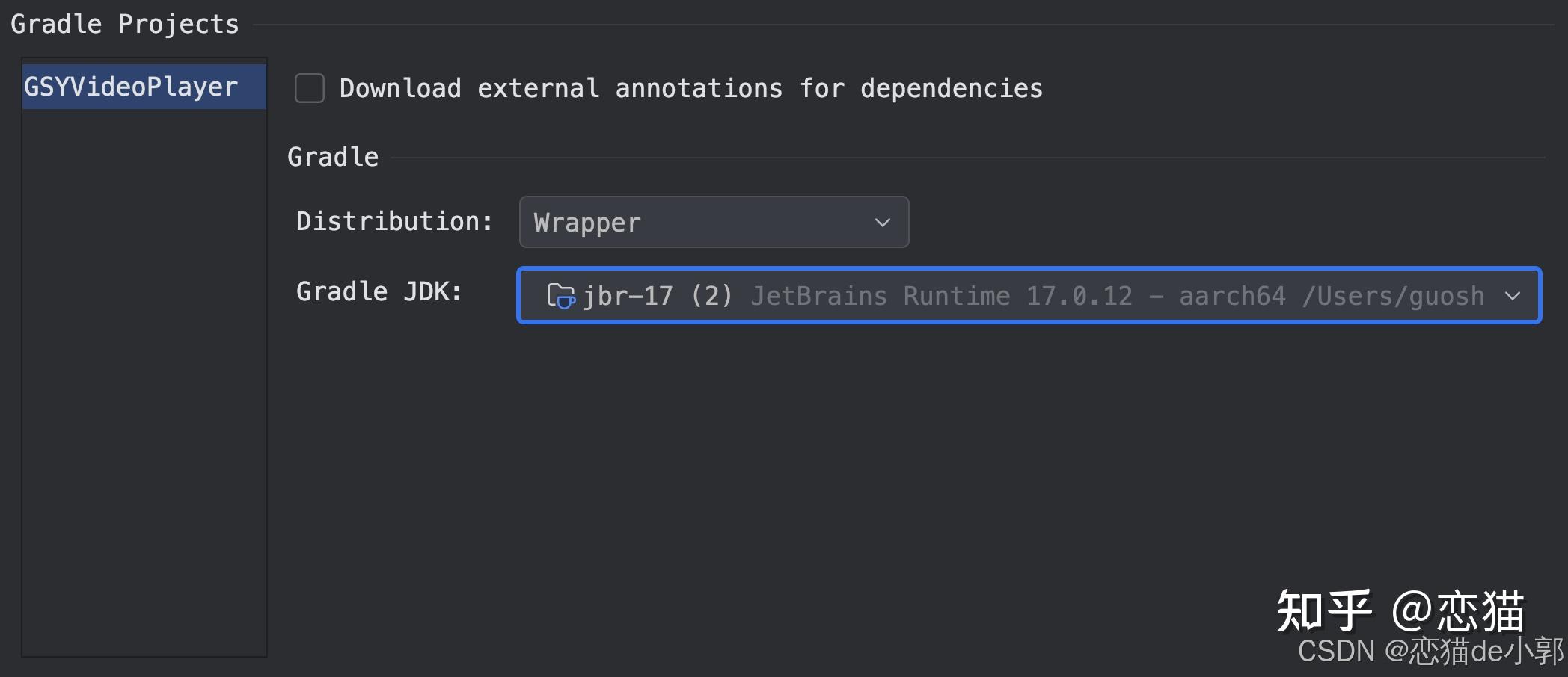 Android Studio Ladybug | 2024.2.1 更新，快来看看吧 - 知乎