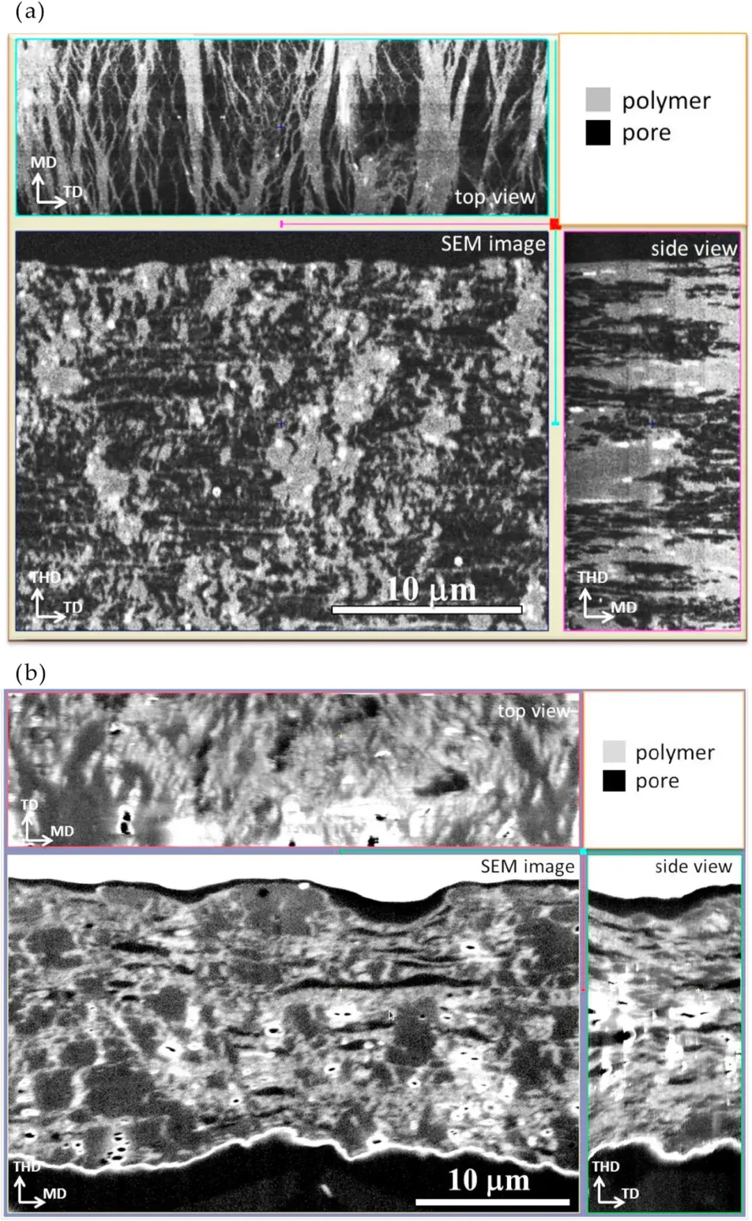 【Simpleware】基于 FIB-SEM 研究多孔聚合物薄膜微观结构与力学性能的关系 - 知乎