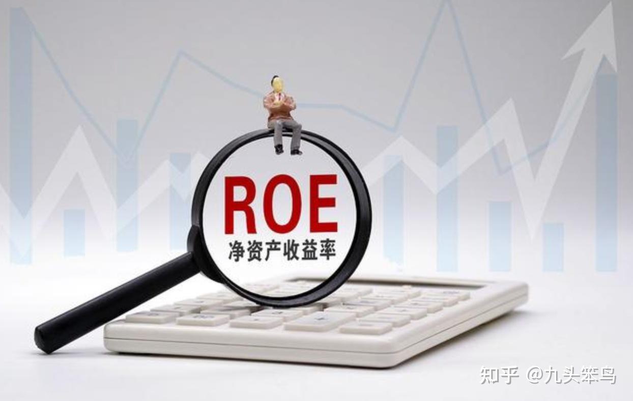 详解巴菲特的选股指标之一——ROE - 知乎