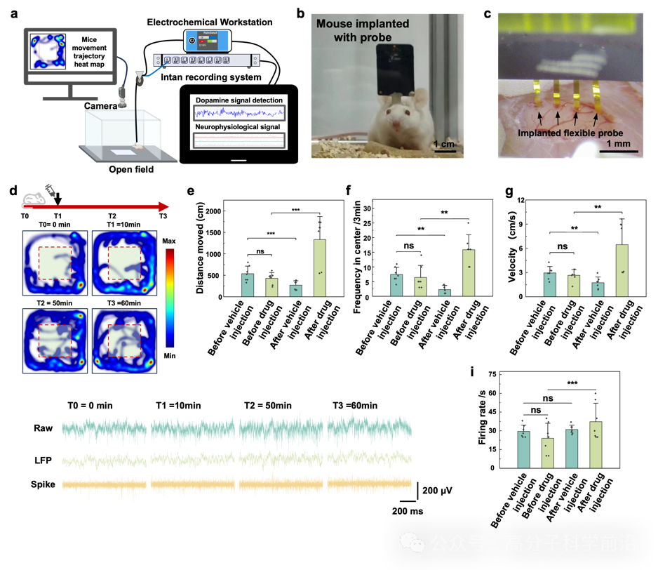 中科院上海微系统所陶虎、魏晓玲等ACS Nano： 超柔性神经电极可实现长期电生理/多巴胺电化学在体检测 - 知乎