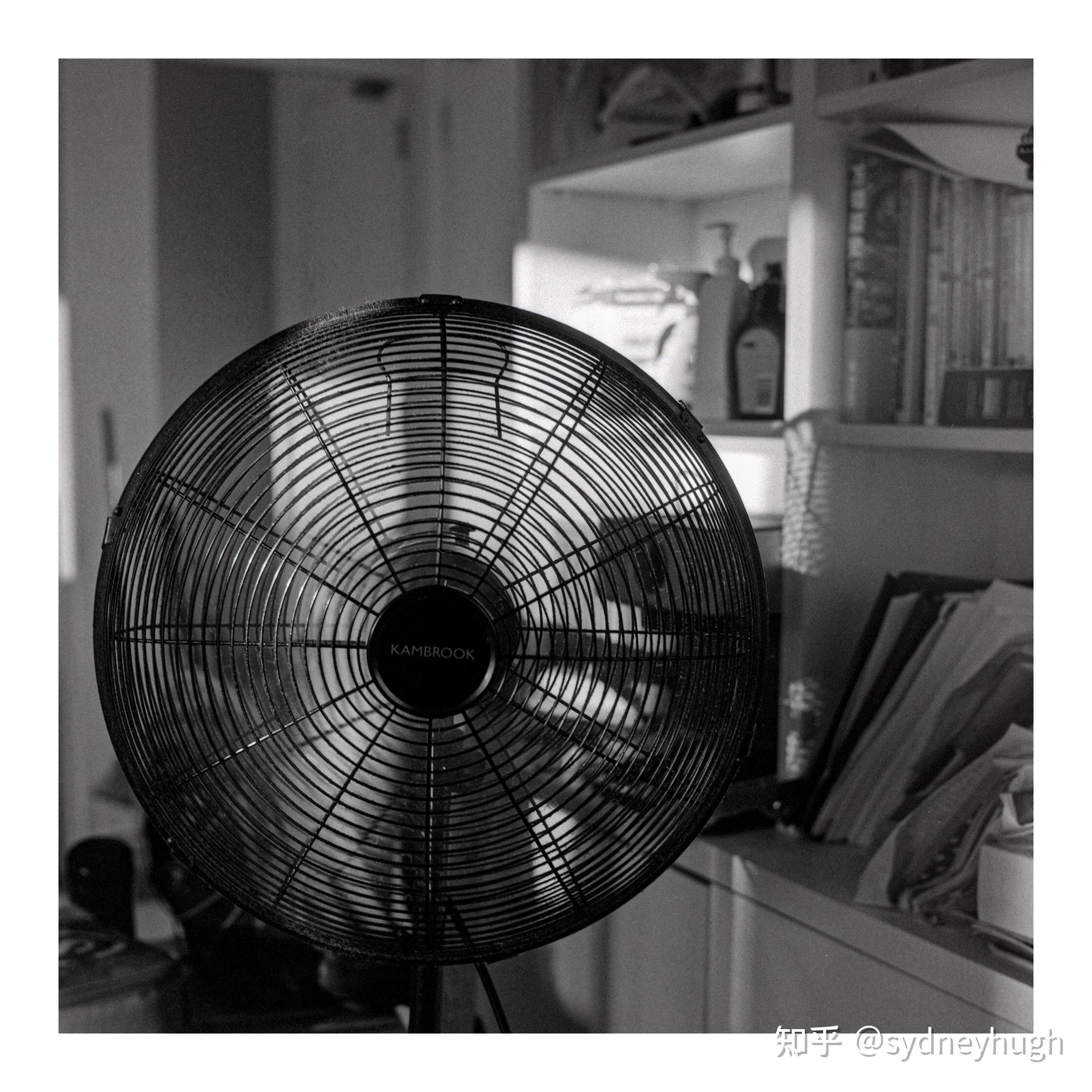 周末大放送：fomapan 400深度测试 - 知乎