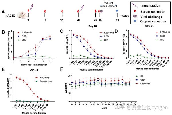 长春兽医研究所团队在新冠疫苗开发上取得新进展 - 知乎