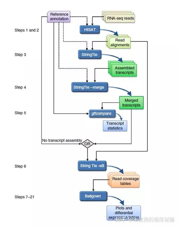 转录组分析（三）Hisat2+StringTie+Ballgown - 知乎