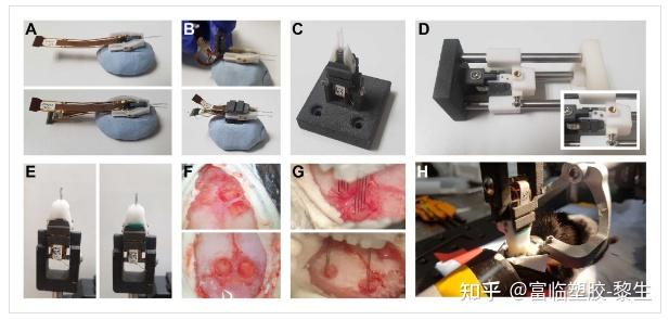 Cambridge NeuroTech硅电极一种适用于慢性 Neuropixels探针 - 知乎