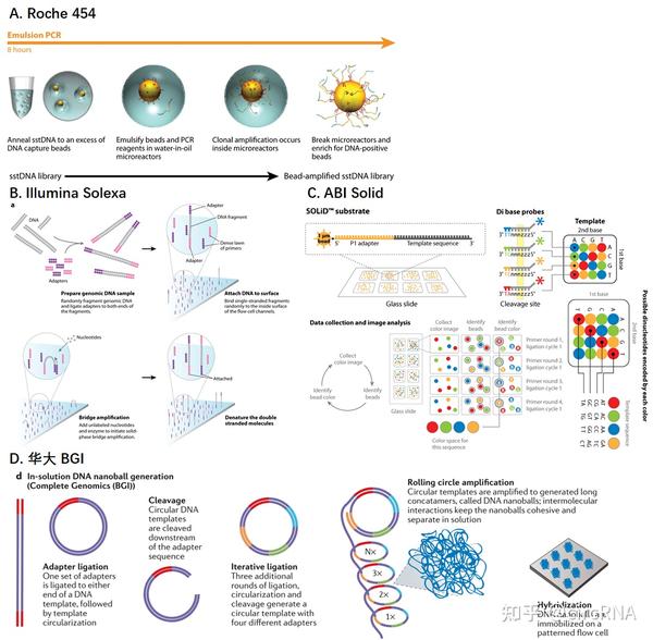 环状RNA十周年 | 测序技术篇 - 知乎