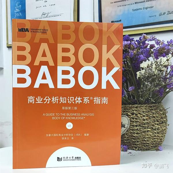 初识《BABOK》 - 知乎