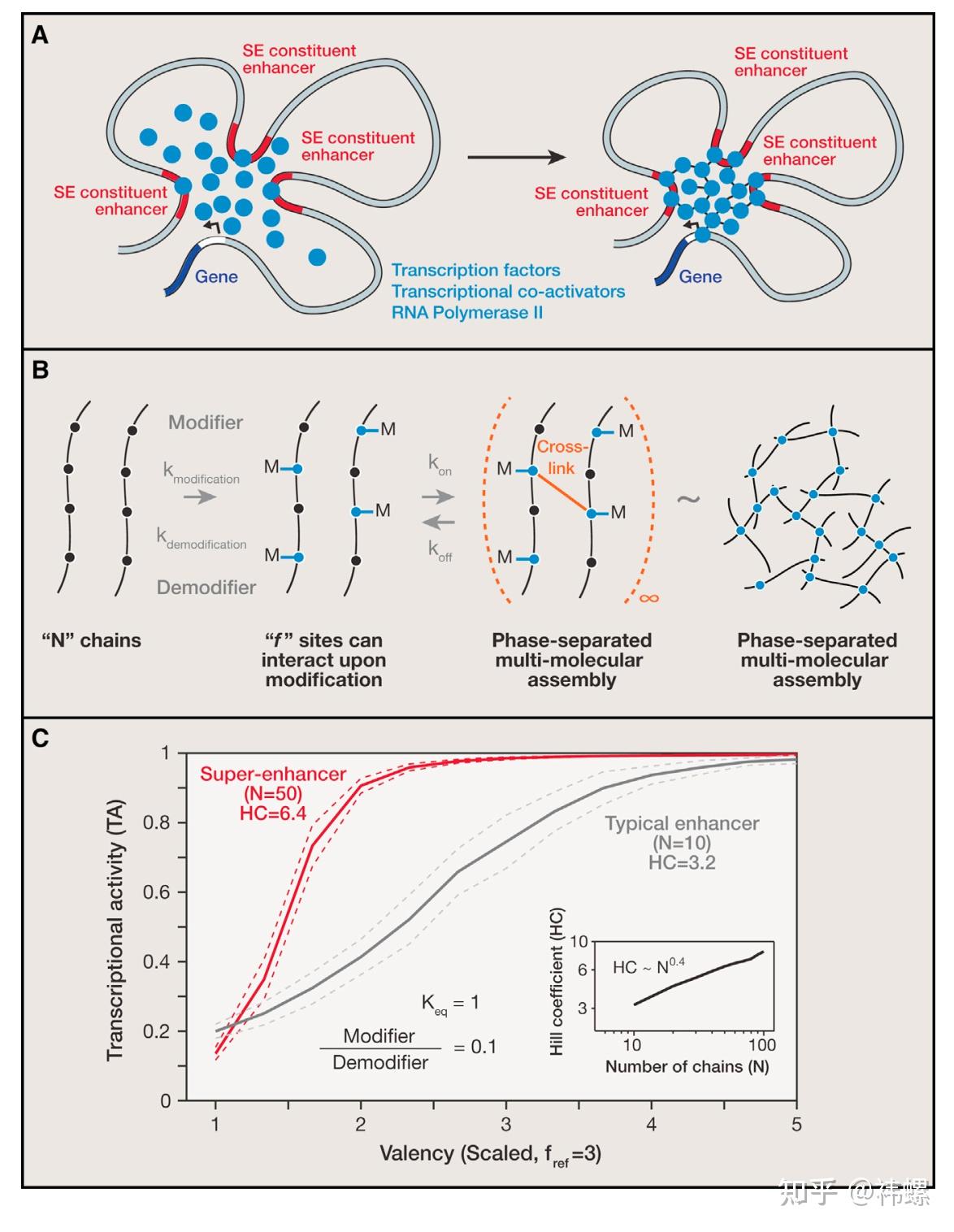 相分离相关综述（2） - 知乎