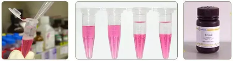 Trizol法RNA提取实验操作步骤及注意事项 - 知乎