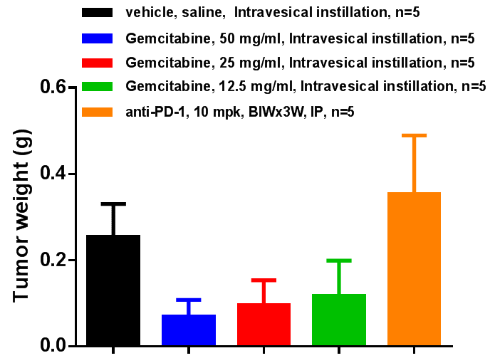 OncoWuXi速递 | MB49-Luc小鼠膀胱肿瘤原位模型 - 知乎