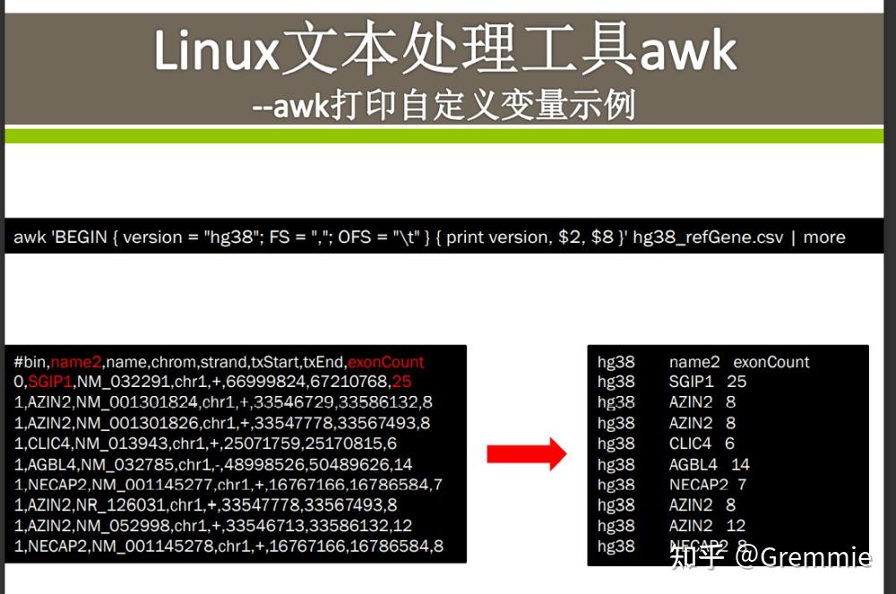 Linux文本处理工具(awk,sed,grep等) - 知乎