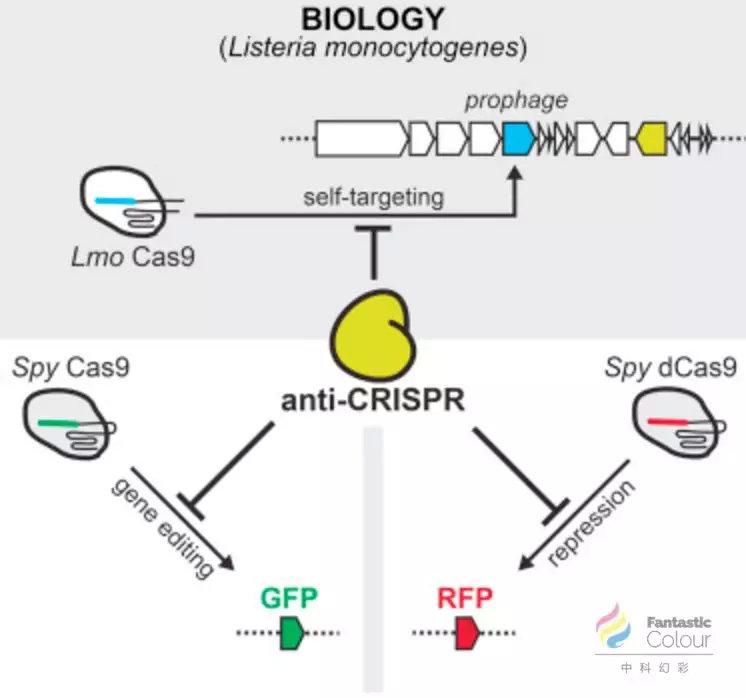 TOC/Scheme/GA傻傻分不清楚：一篇干货告诉你，投稿中该怎么准备 - 知乎