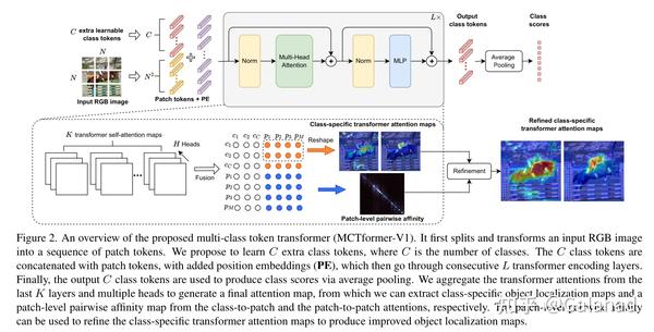 Cvpr2022 Mctformer:谁说vision Transformer只能有一个class Token? 知乎