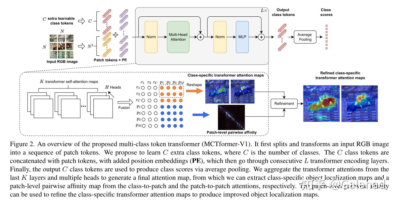 CVPR2022 | MCTformer：谁说Vision Transformer只能有一个class token？ - 知乎