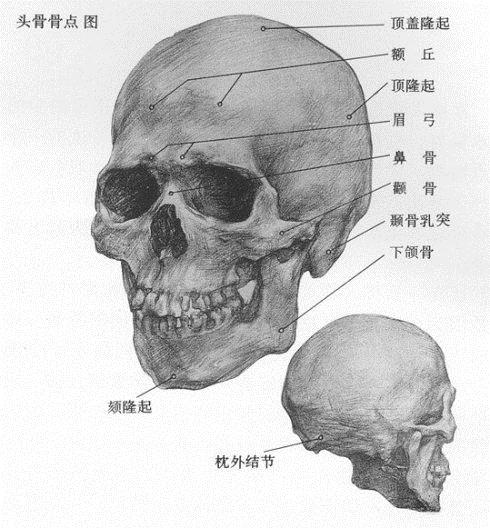 骨相美比皮相美更高级吗？ - 知乎