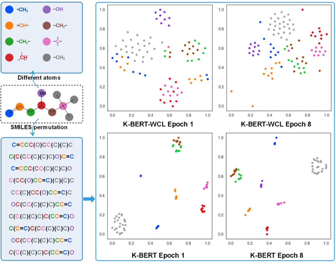 Knowledge-based BERT: 像计算化学家一样提取分子特征的方法 - 知乎