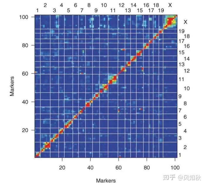 R/qtl 分析流程 - 知乎