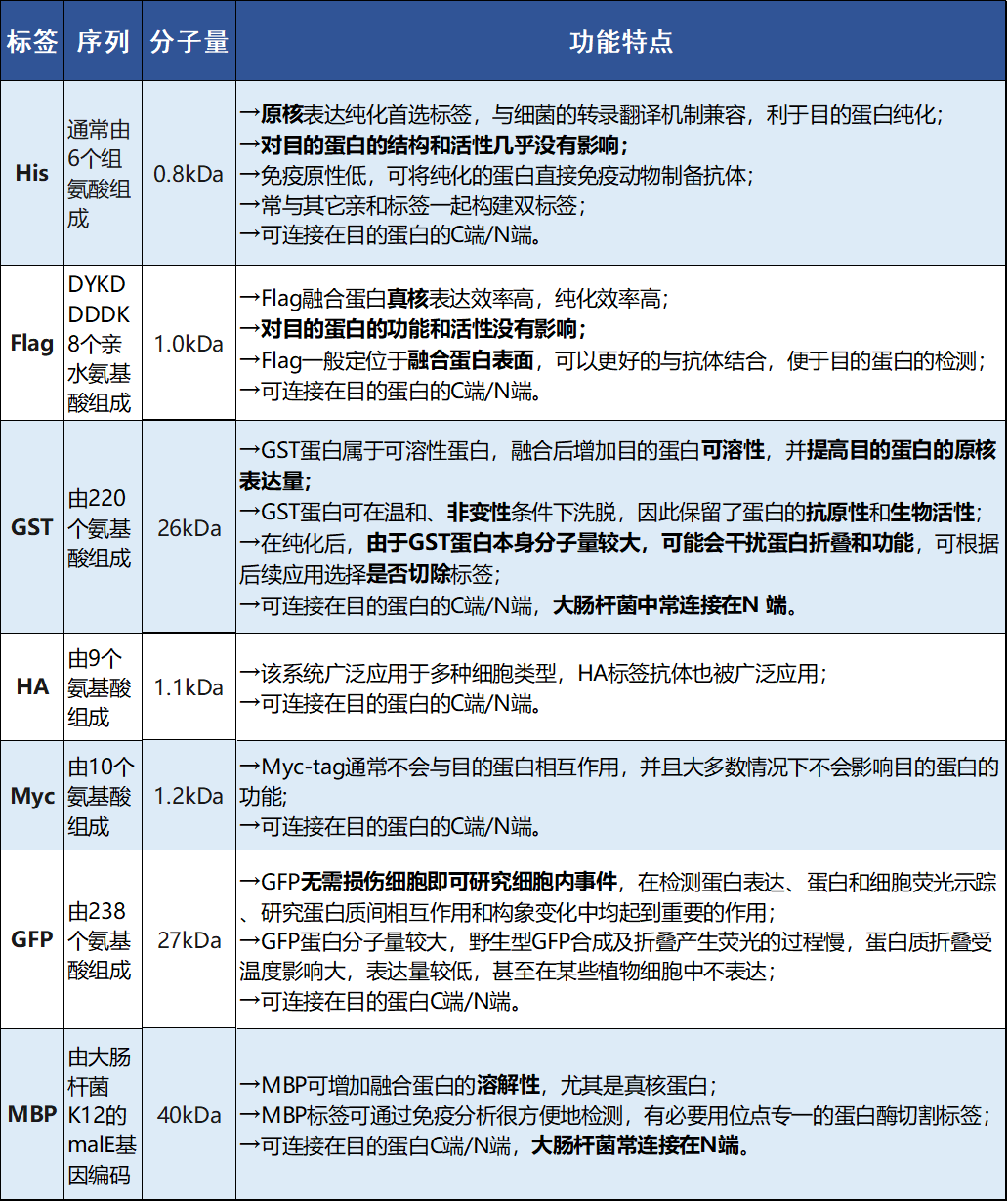 一站式IP打造|原来它才是CoIP成功率高的原因 - 知乎
