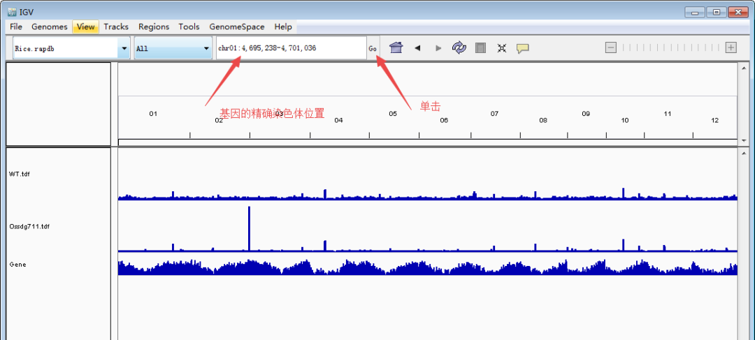 ChIP-seq/DAP-seq/ATAC-seq/CUT&Tag结果可视化-IGV使用攻略 - 知乎