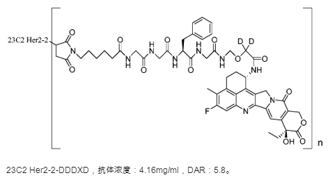 DS8201时代，HER-2 ADC众生相 - 知乎