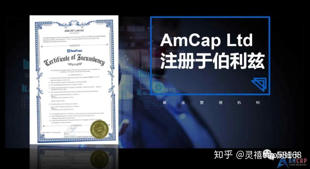 AMCAP公司简介 - 知乎