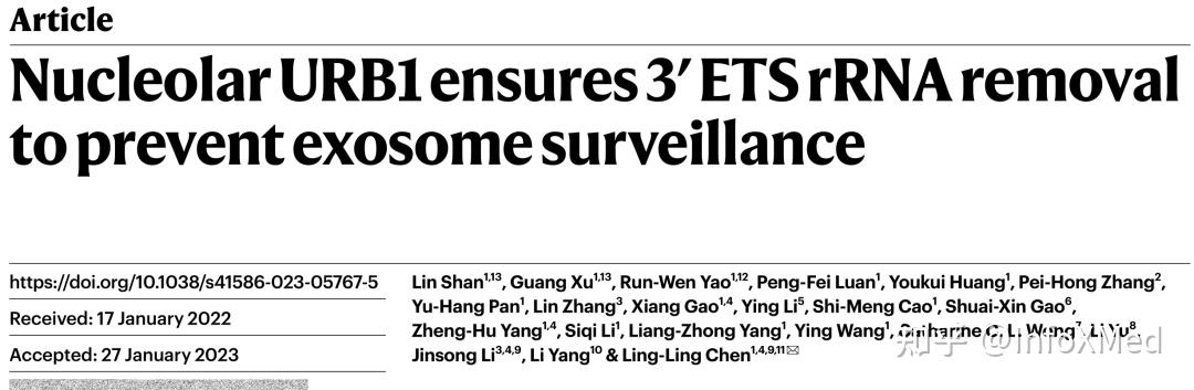 Nature | 核仁的超微精细结构—非流动性蛋白URB1在核仁液-液相分离环境中的关键组织作用 - 知乎