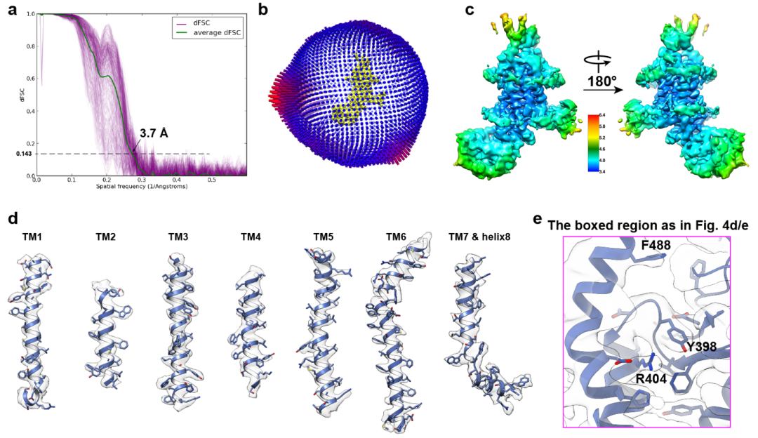 水木视界iss. 25 | 基于冷冻电镜的GPCR研究：融合蛋白策略 - 知乎