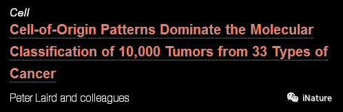 伟大壮举，Cell 27篇文章同时阐述TCGA癌症基因组学（系统盘点这27篇文章） - 知乎