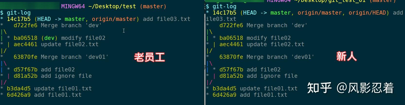 Github（九）远程仓库：远程仓库的 Clone、fetch、pull 知乎