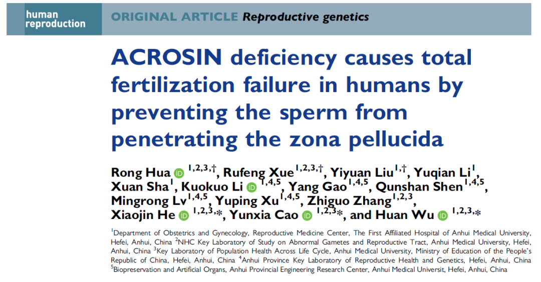 精液正常却不育？--顶体蛋白酶缺乏通过阻止精子穿透透明带从而导致人类完全受精失败 - 知乎