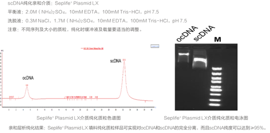 国庆特辑mrna小指南 质粒提取,看完入职就会 知乎