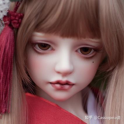 BJD新手入门保姆级科普（小白看过来） - 知乎