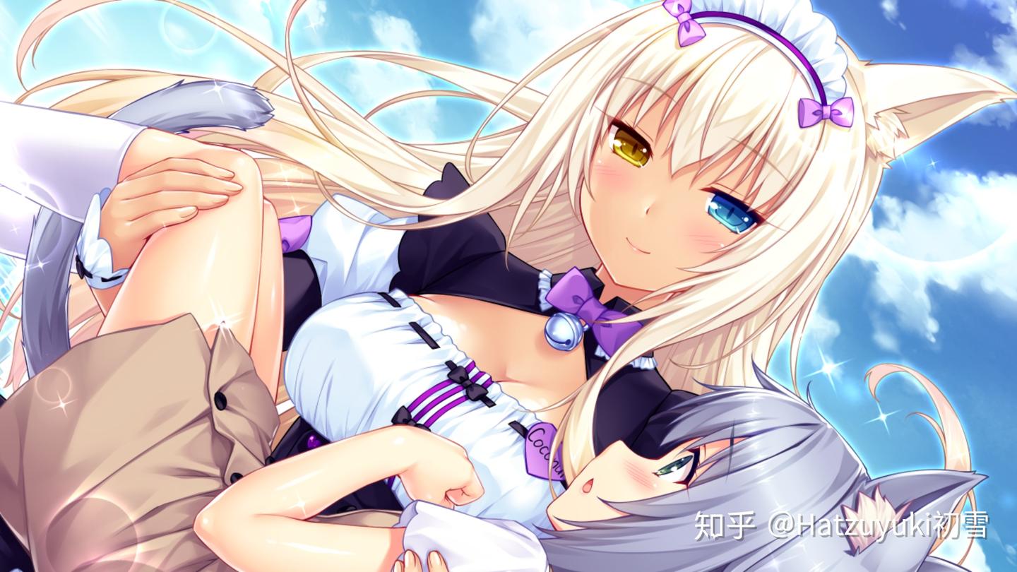 我一定会有猫(娘)的qwq————初雪的废萌拔作合集推荐!【二】 知乎