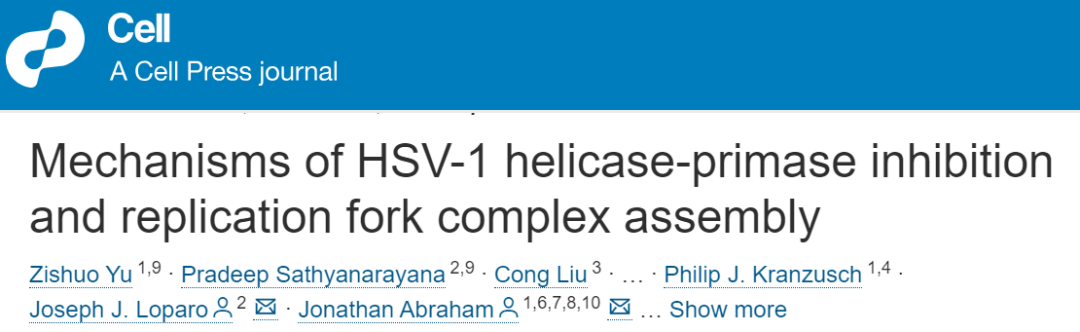 Cell | 疱疹病毒复制机器首次“全貌曝光”！冷冻电镜揭示药物作用靶点与耐药根源 - 知乎