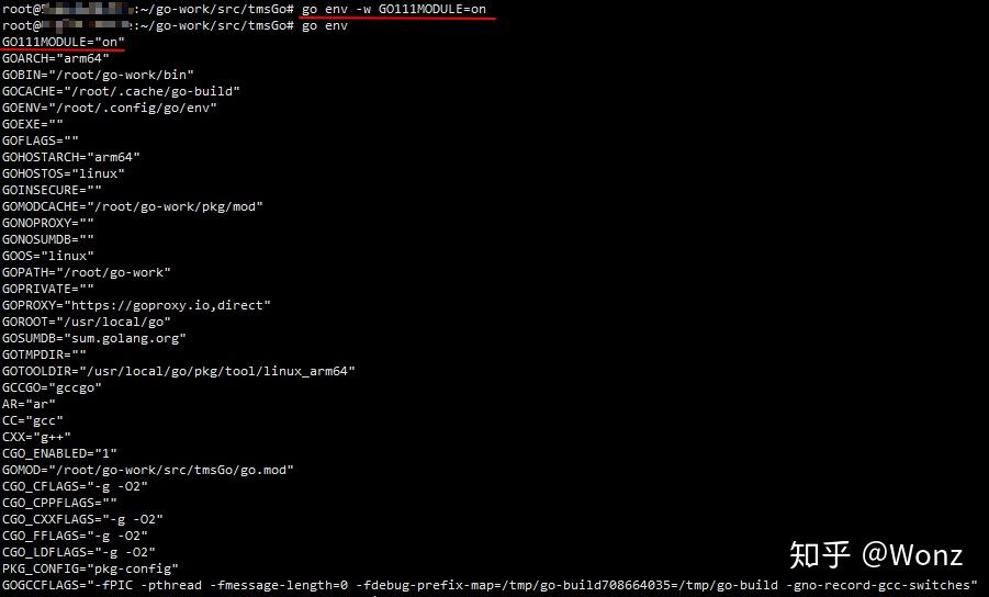 goproxy 模块代理，解决 timeout 问题 - 知乎