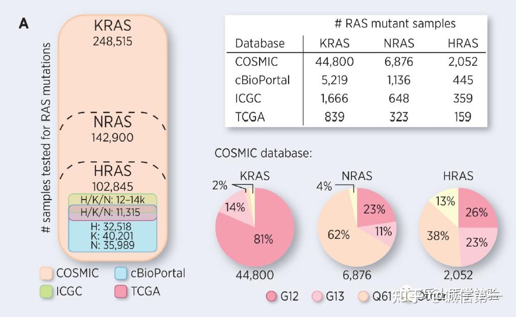 四十年磨一剑 | 全球首款“不可成药”靶点KRAS G12C药物AMG510获批上市 - 知乎