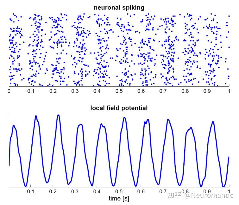 神经振荡（Neural oscillation）：神经活动的节奏和韵律 - 知乎