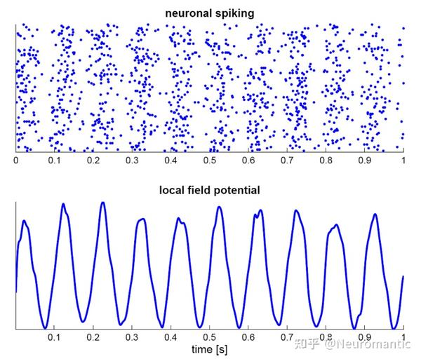 神经振荡（Neural oscillation）：神经活动的节奏和韵律 - 知乎