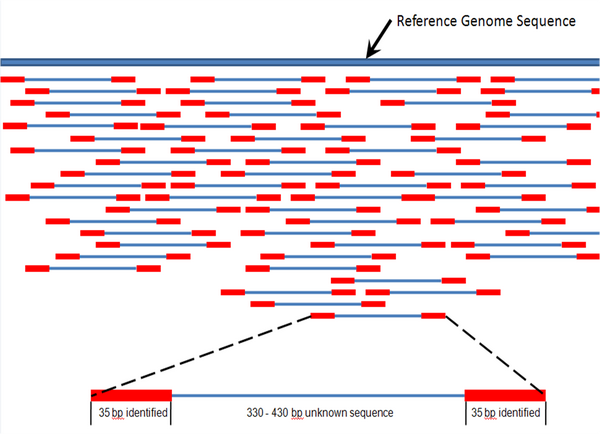 Rna Seq数据分析中的quality Control 测序数据分析系列 知乎