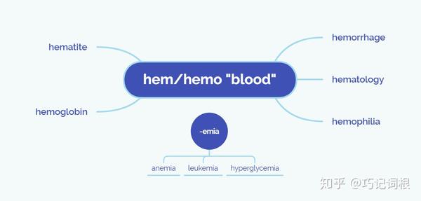 词根系列 | HEM/HEMO "blood" - 知乎