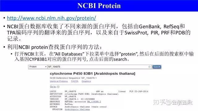 生信软件系列 - NCBI使用 - 知乎