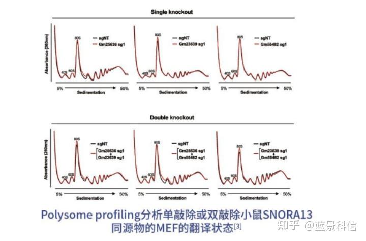 polysome profiling（多聚核糖体图谱分析）——解析翻译调控机制的金标准 - 知乎