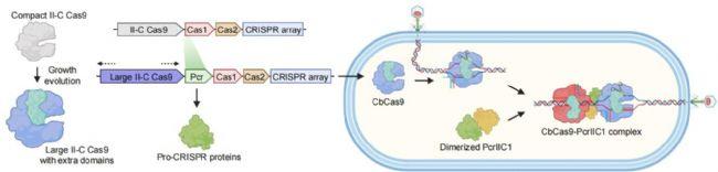 FIDA分子互作仪：带你复现Nature青睐蛋白质与核酸互作50分顶级发文思路，还不快学起来！ - 知乎