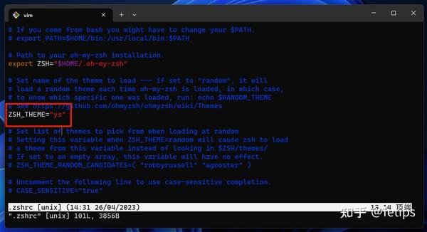 Windows安装Zsh终端 - 知乎