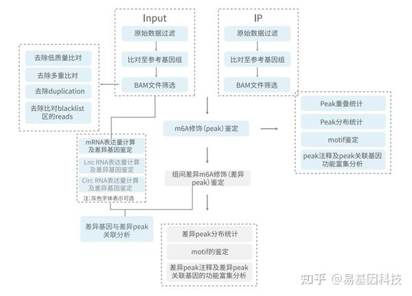 甲基化RNA免疫共沉淀(MeRIP-seq/m6A-seq)信息分析流程 - 知乎