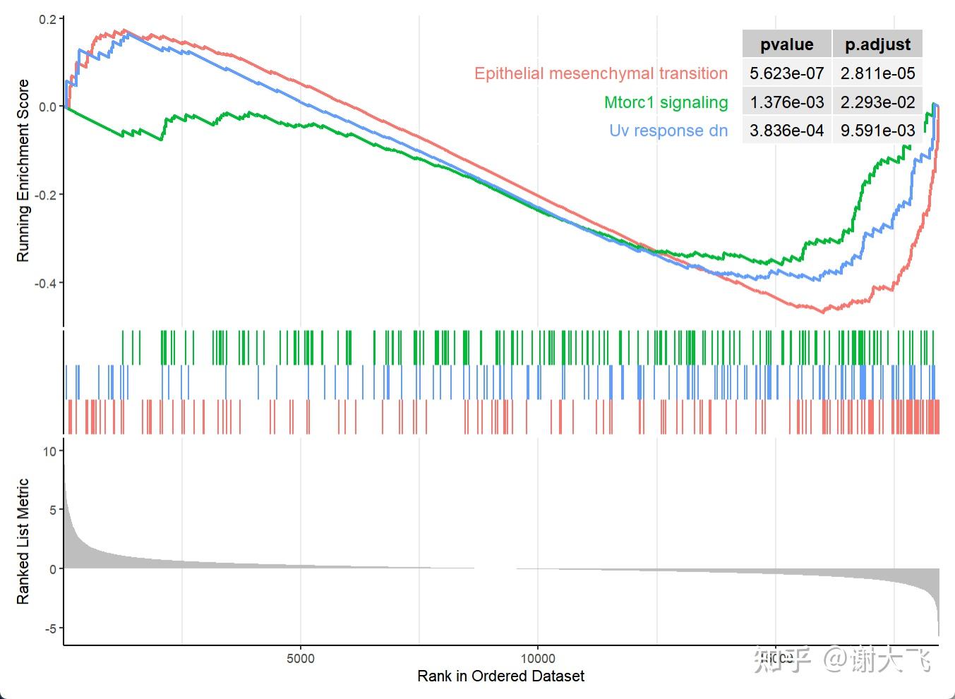 GSEA分析的步骤与结果解读 - 知乎