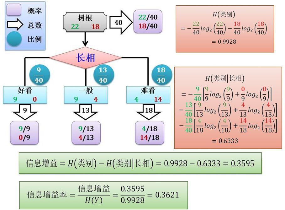 【机器学习·基本功】 1决策树 算法原理介绍 知乎 